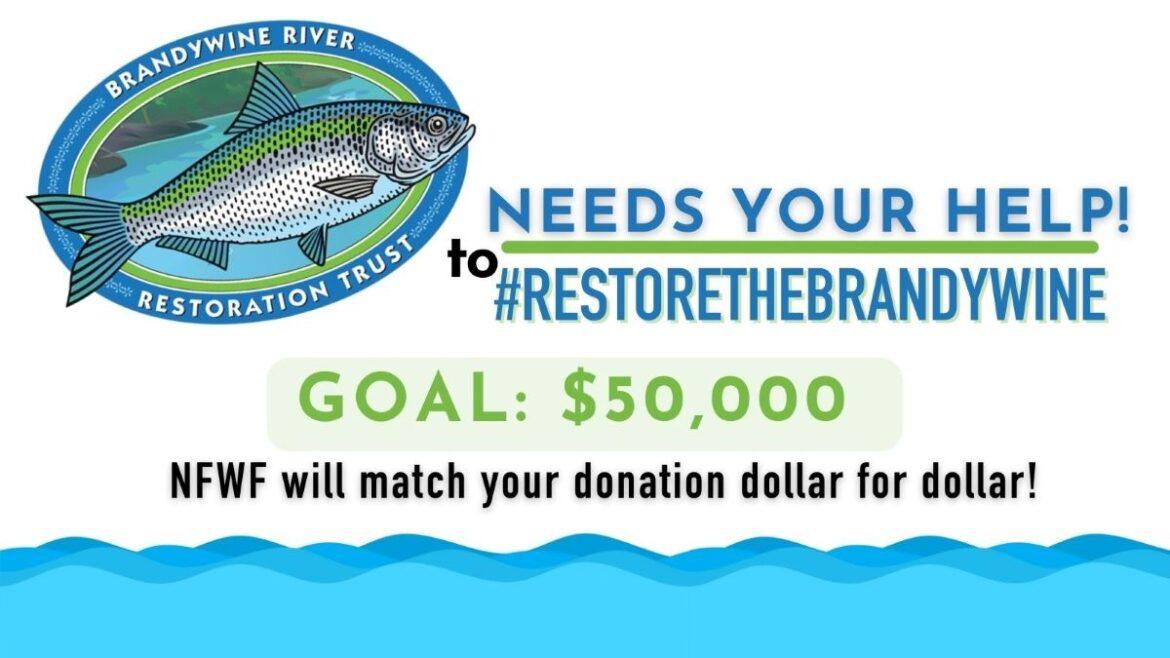 BRRT Kicks Off ‘Restore the Brandywine’ Crowdfunding Campaign ...