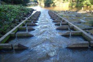 Fish Passage Alternatives – Brandywine River Restoration Trust